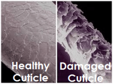 Unboxing To Natural Hair: What Is Hair Porosity?